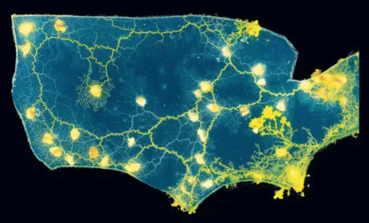 Slime Mold 101: Meet the Genius Without a Brain - The Biomimicry Institute