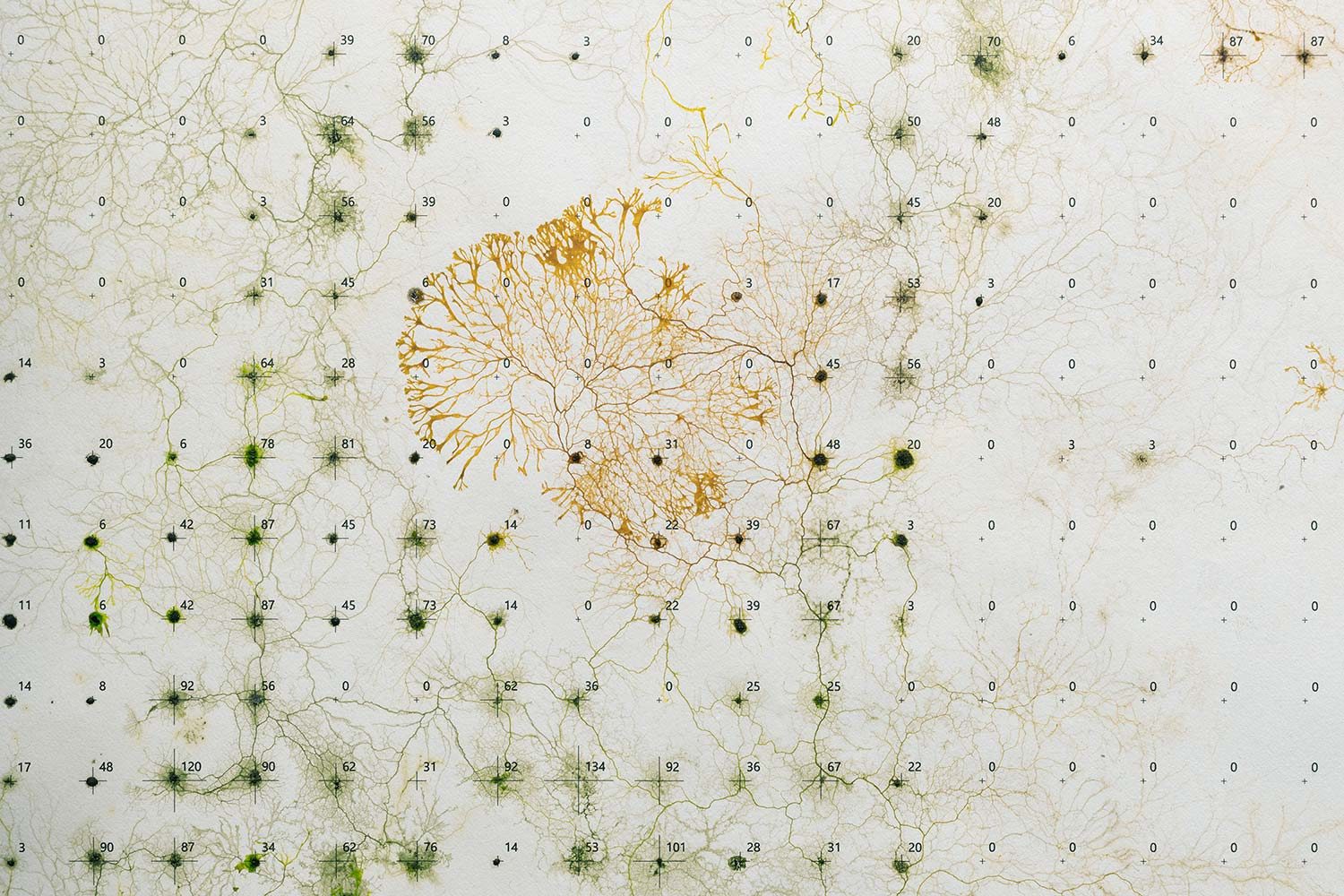 Is a Blob Capable of Rethinking Our Built World Without Bias ...