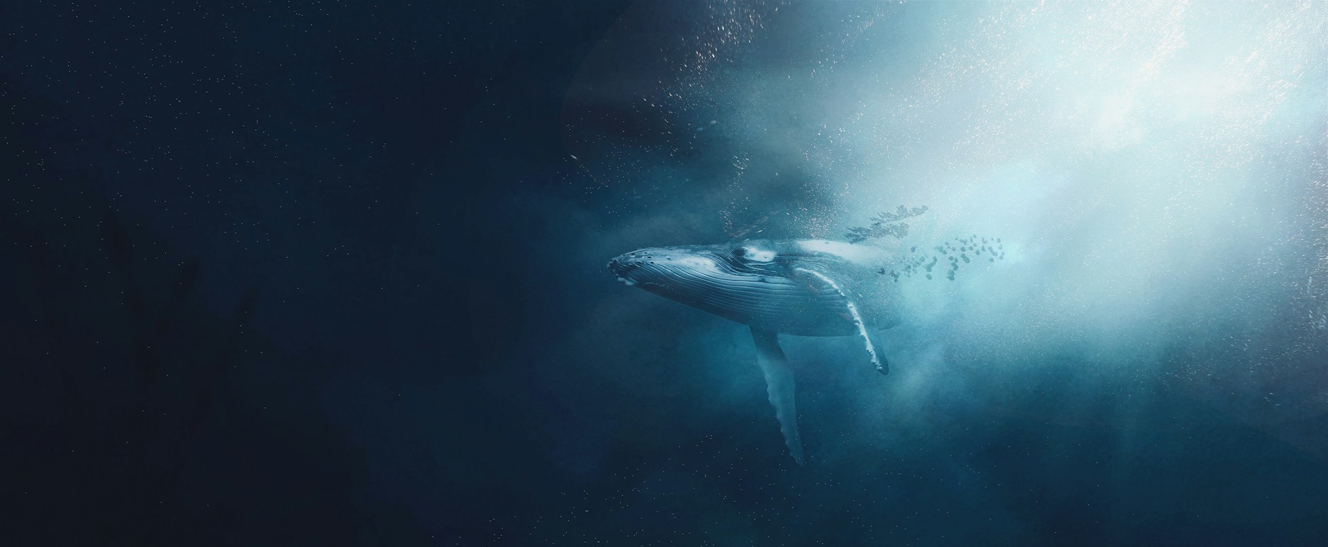 AskNature - The Biomimicry Institute
