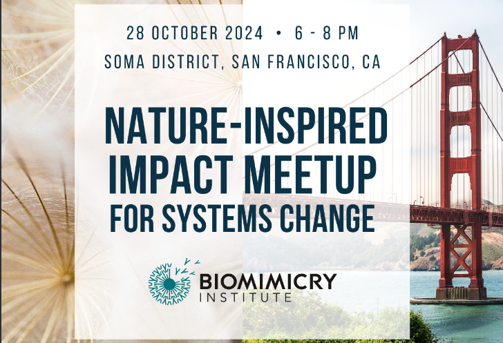 Nature-Inspired Impact: Meetup for Systems Change - The Biomimicry ...