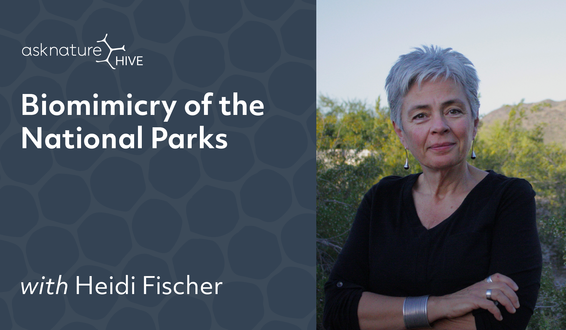 AskNature Hive Monthly Conversation with Heidi Fischer - The Biomimicry ...