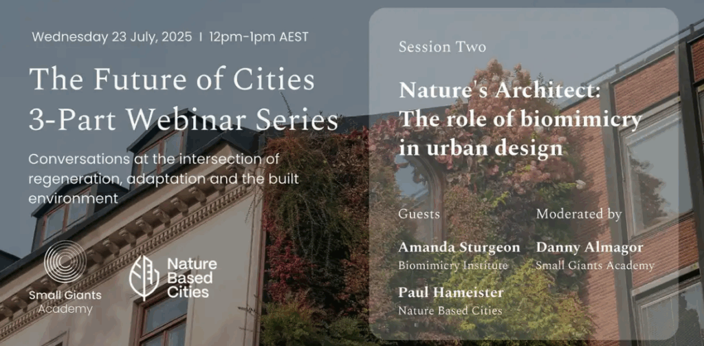 Nature's Architect: The role of biomimicry in urban design with Amanda ...