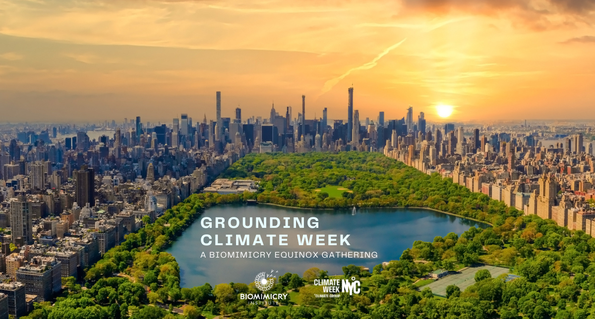 Climate Week NYC - The Biomimicry Institute