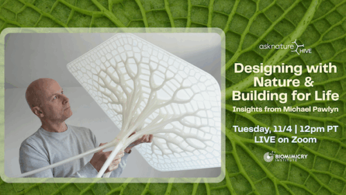 Designing with Nature & Building for Life: Insights from Michael Pawlyn ...