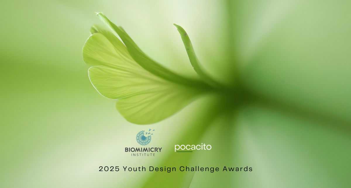 Biomimicry Youth Design Challenge Awards Event 1 - The Biomimicry Institute