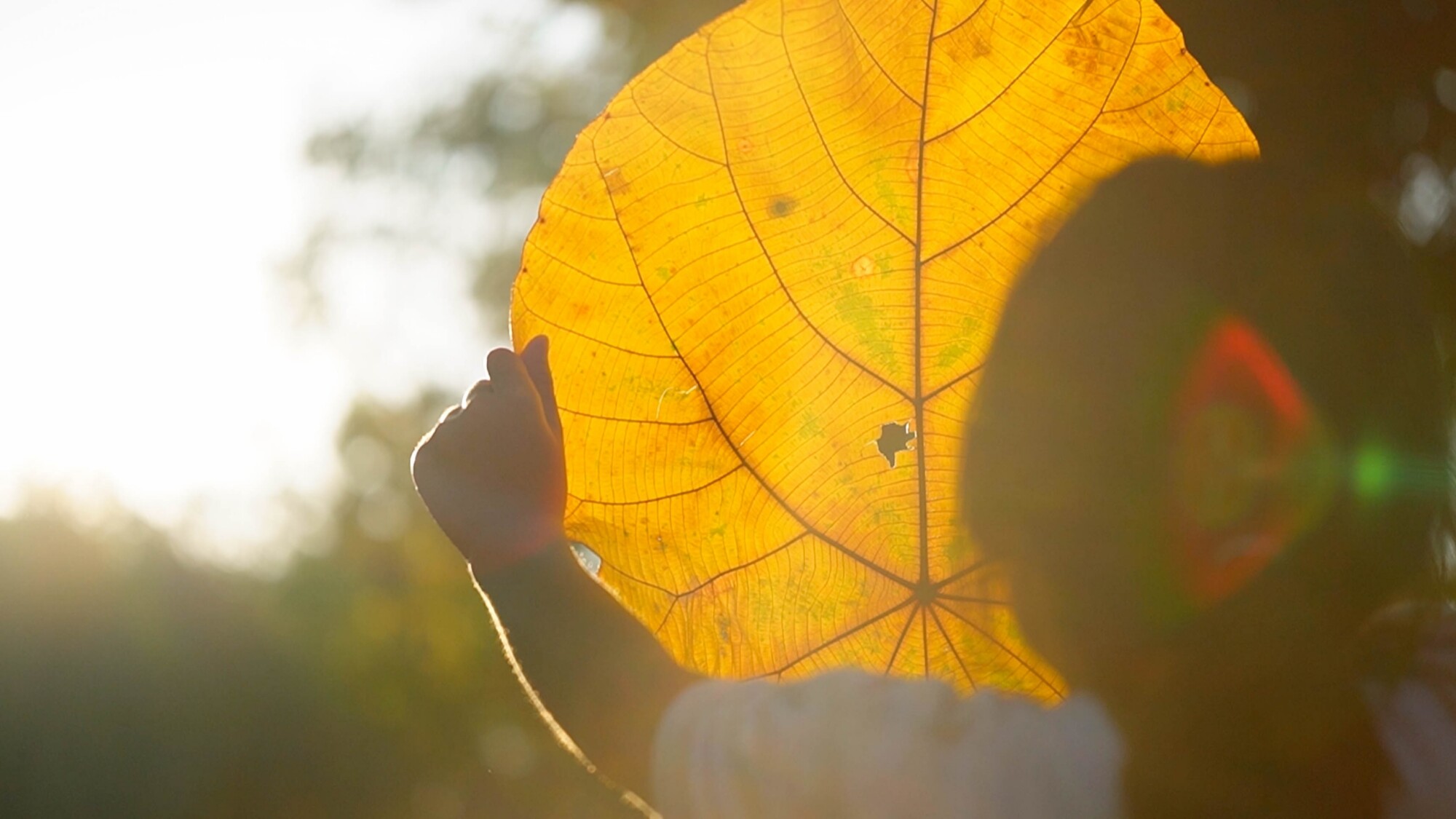Good News: You Can’t Ever Be Disconnected From Nature - The Biomimicry ...